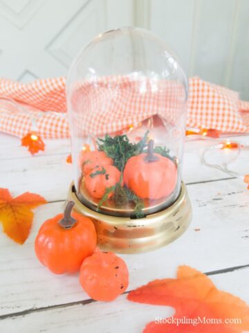 Dollar Store Fall Cloche - STOCKPILING MOMS™
