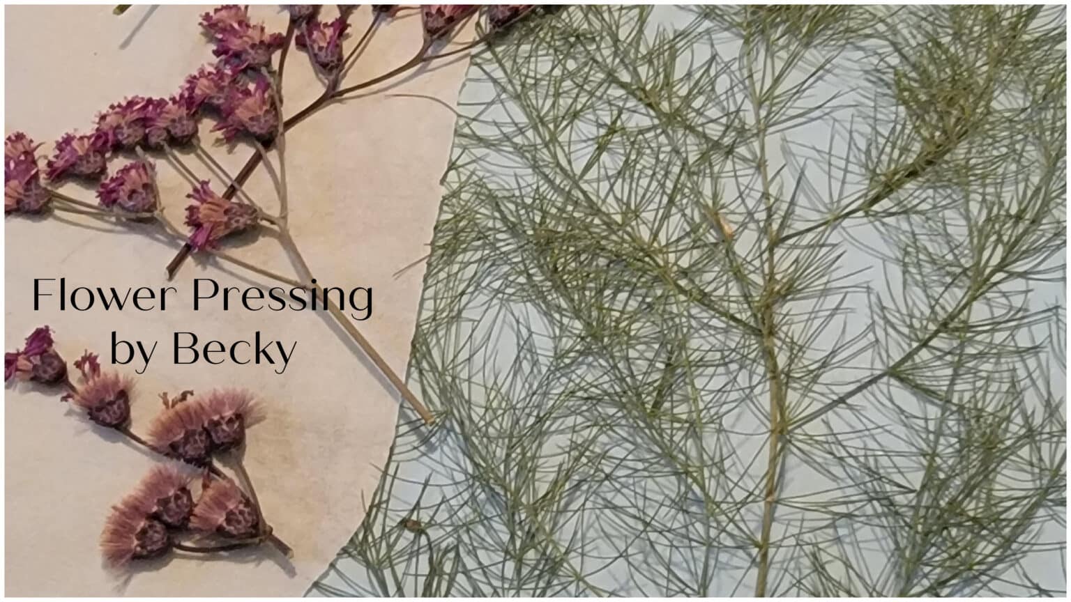 How To Start Pressing Flowers - STOCKPILING MOMS™
